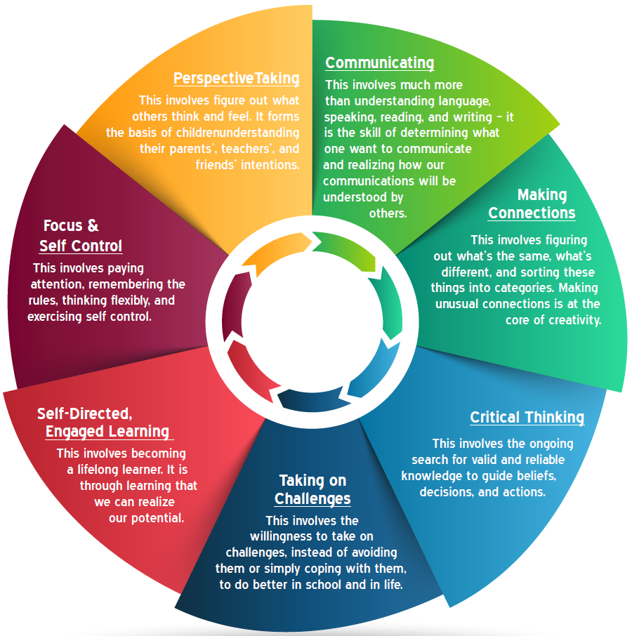 Seven Essential Life Skills – braided STEM
