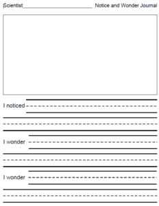 ECE Notice and Wonder Journal – braided STEM