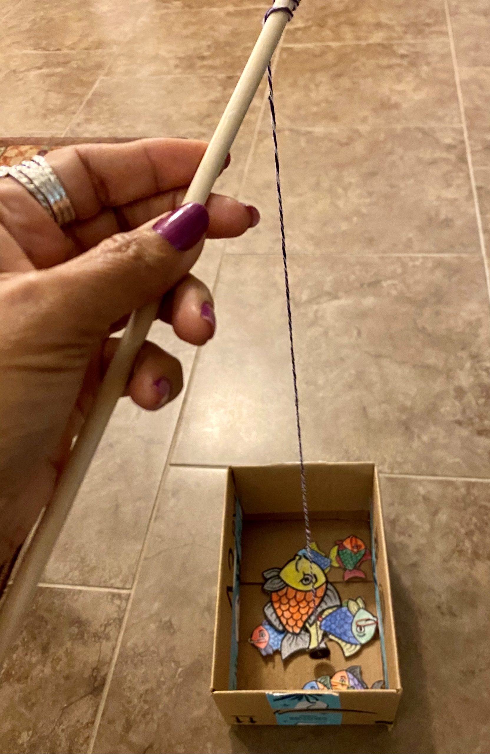 Magnets: Fish Tales – braided STEM