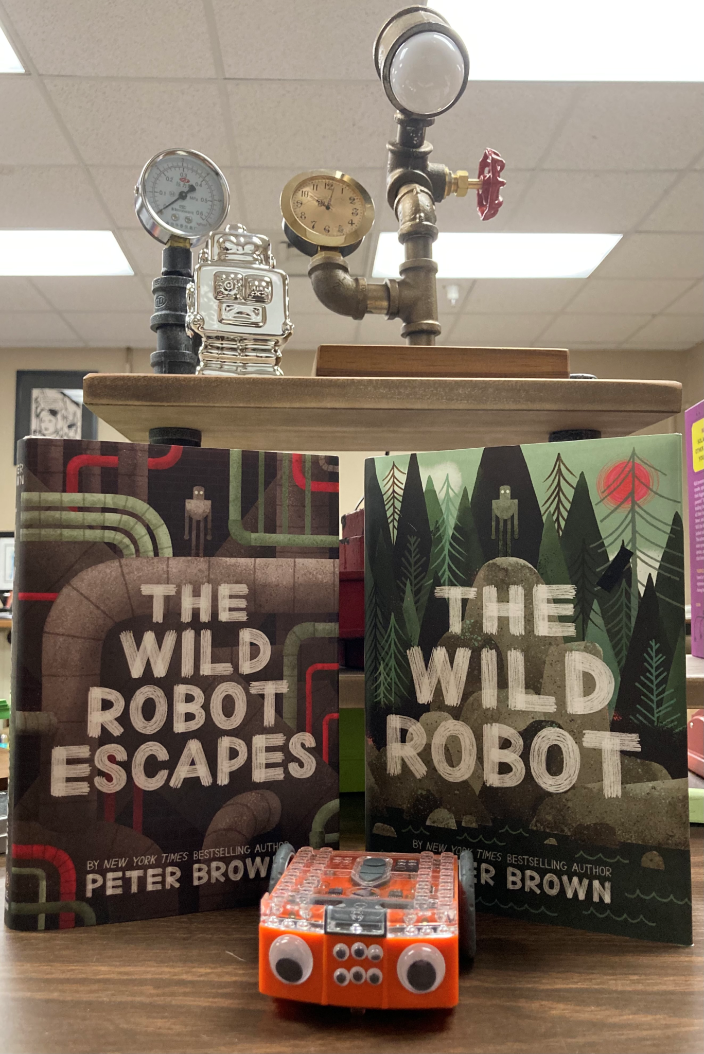 Edison Lessons tied to The Wild Robot by Peter Brown – braided STEM