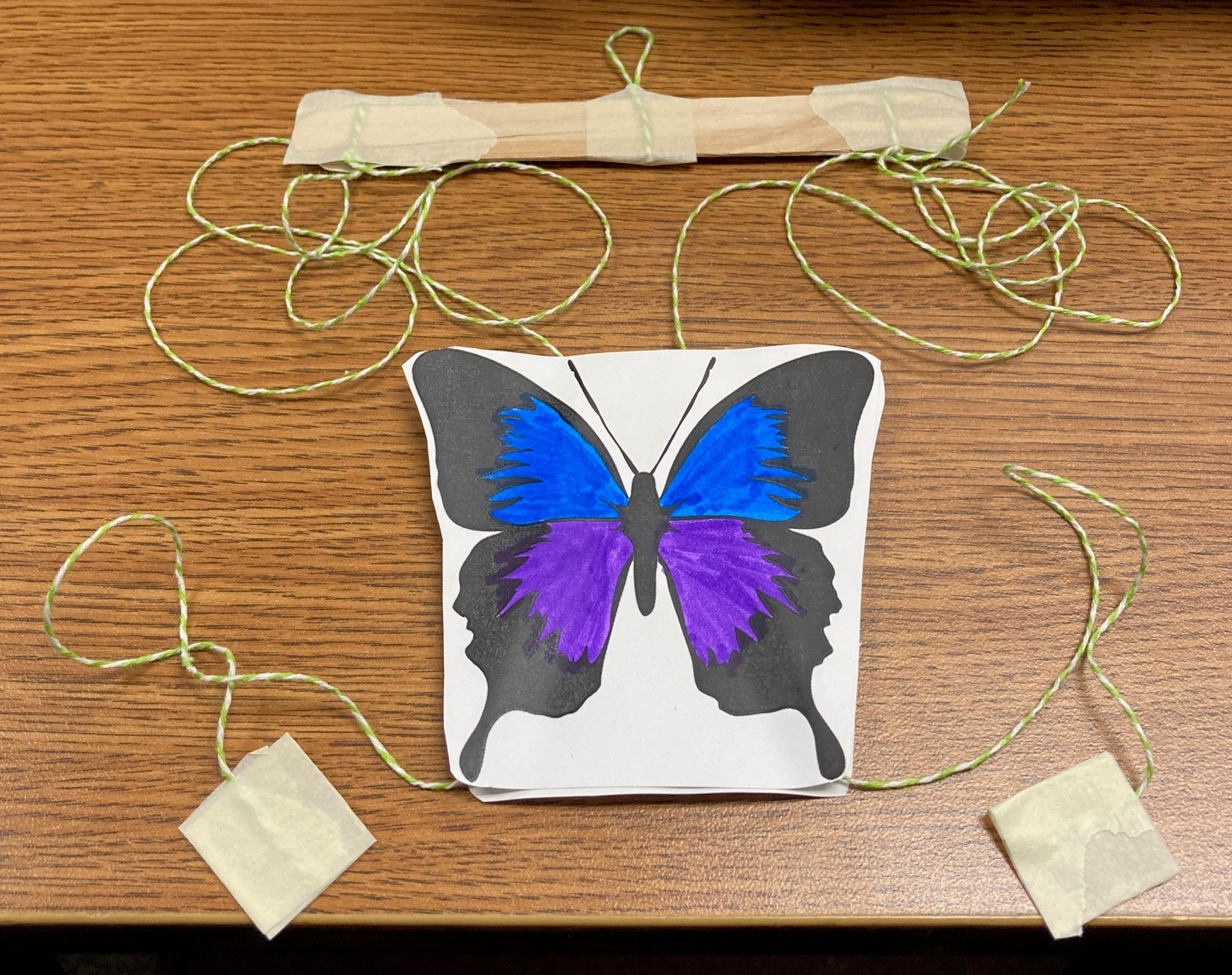 Flying Butterfly – braided STEM