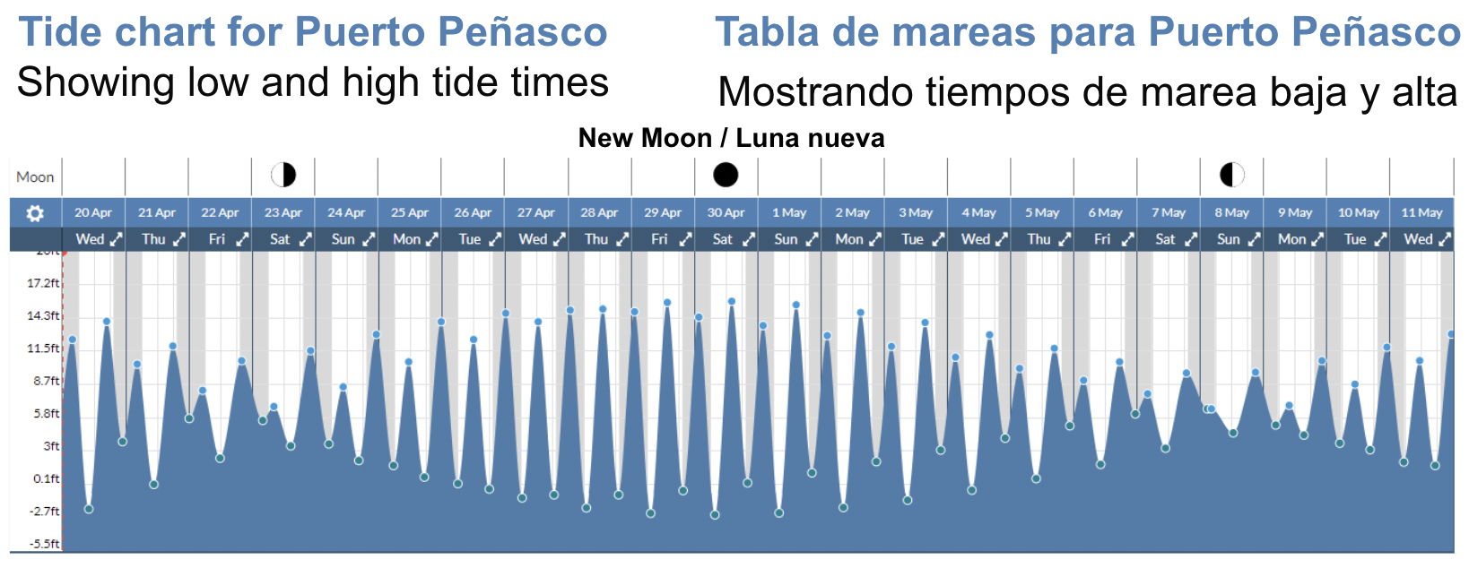 Slow Reveal Graph: How do the phases of the moon impact tides ...